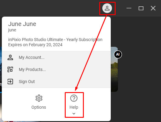 How do I check my product version number and other details? – inPixio