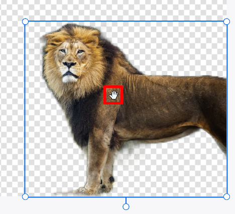 How to make a transparent background in inPixio Online Photo Editor ...