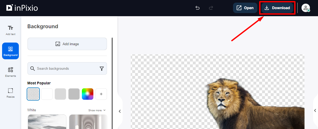 How to make a transparent background in inPixio Online Photo Editor ...