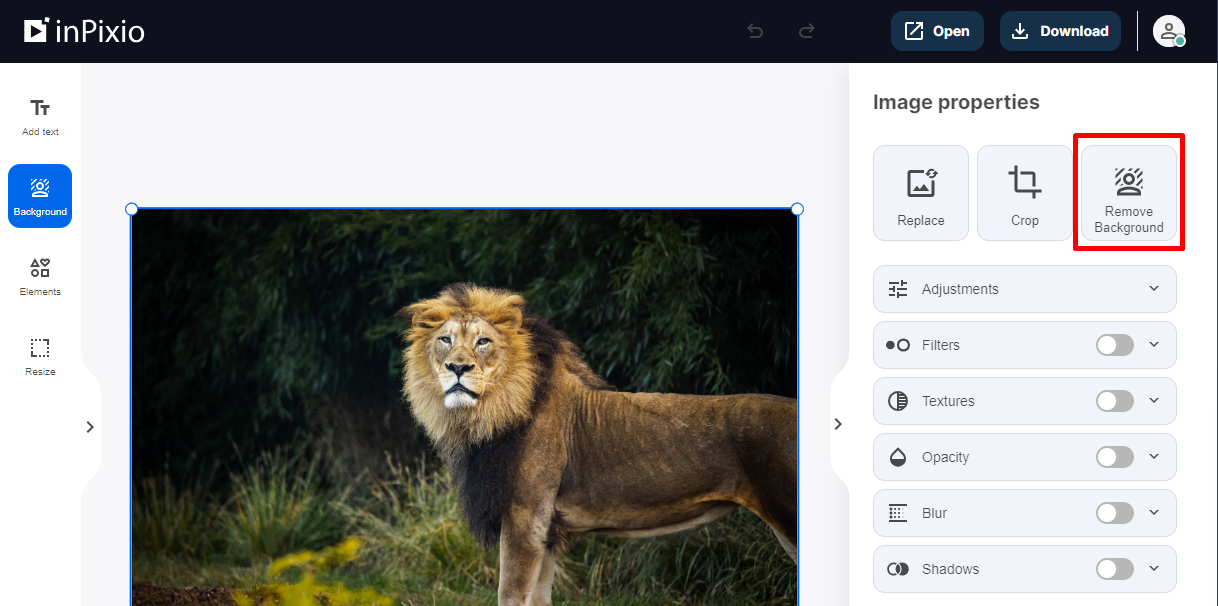 How to make a transparent background in inPixio Online Photo Editor ...