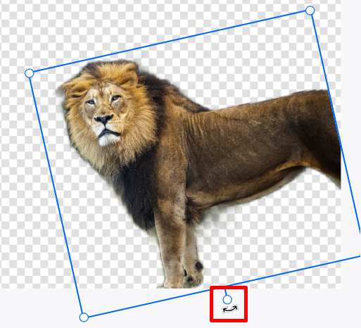 How to make a transparent background in inPixio Online Photo Editor ...