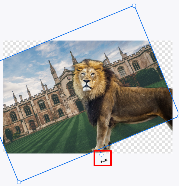 How to replace the background in inPixio Online Photo Editor? – inPixio
