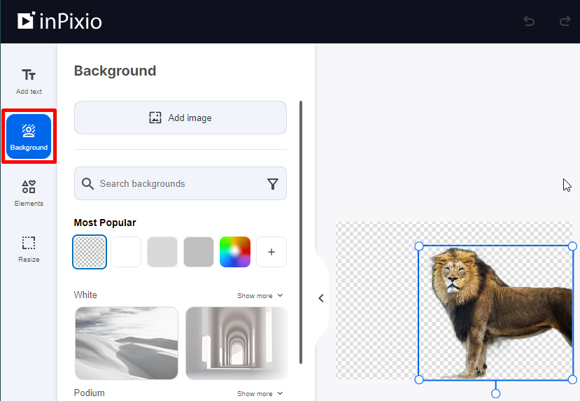 How to replace the background in inPixio Online Photo Editor? – inPixio