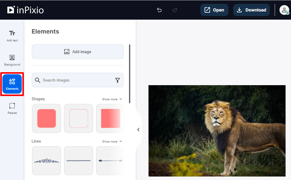 How to make a photomontage in inPixio Online Photo Editor? – inPixio