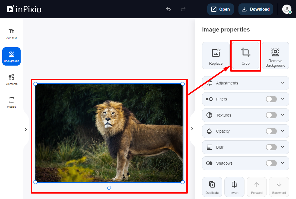 How to crop a photo in inPixio Online Photo Editor? – inPixio