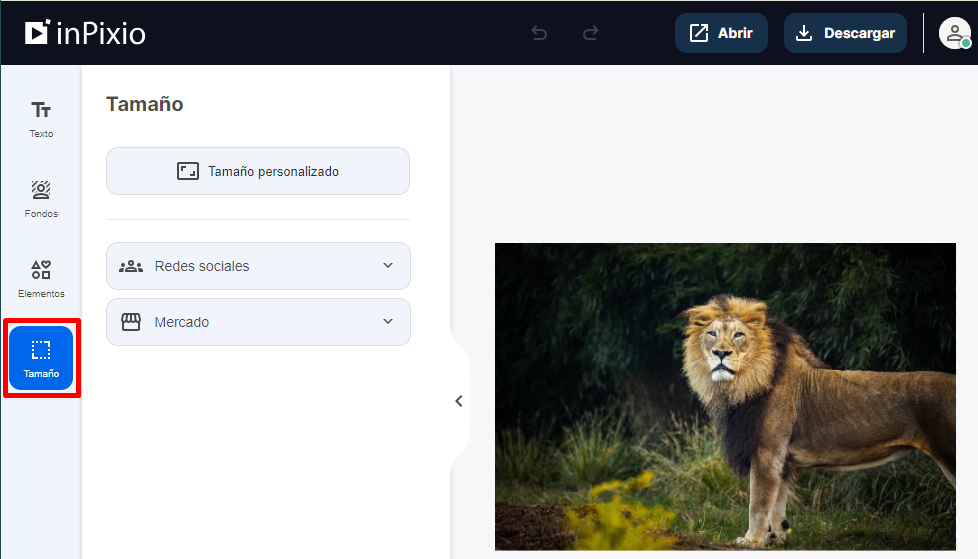 ¿Cómo cambiar el tamaño de una foto en el editor de fotos en línea ...