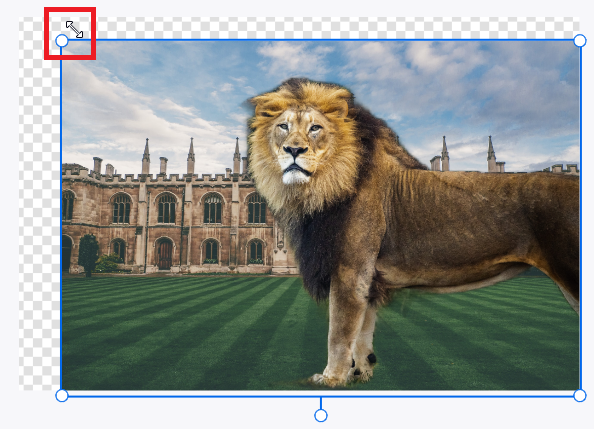 How to replace the background in inPixio Online Photo Editor? – inPixio