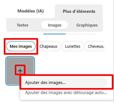 Comment ajouter un filigrane personnalisé à une photo? – inPixio