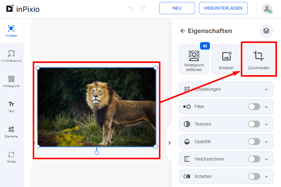 Wie schneide ich ein Foto in inPixio Online Photo Editor zu? – inPixio