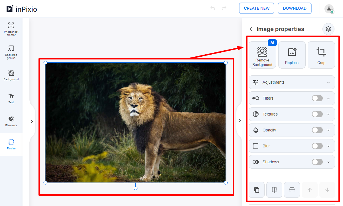 How to make adjustments to your photo in inPixio Online Photo Editor ...