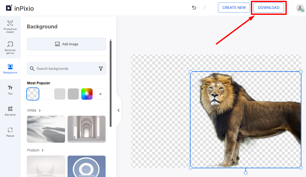 How to make a transparent background in inPixio Online Photo Editor ...