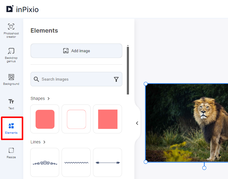 How to make a photomontage in inPixio Online Photo Editor? – inPixio