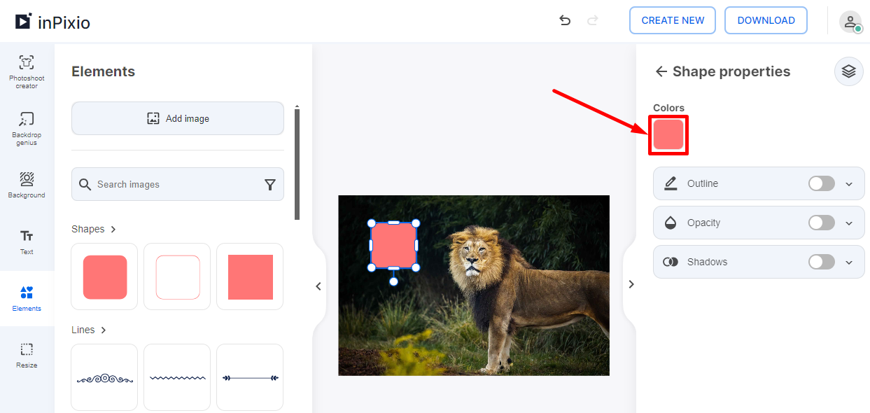 How to make a photomontage in inPixio Online Photo Editor? – inPixio