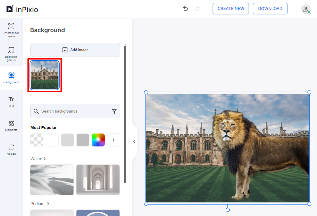 How to replace the background in inPixio Online Photo Editor? – inPixio