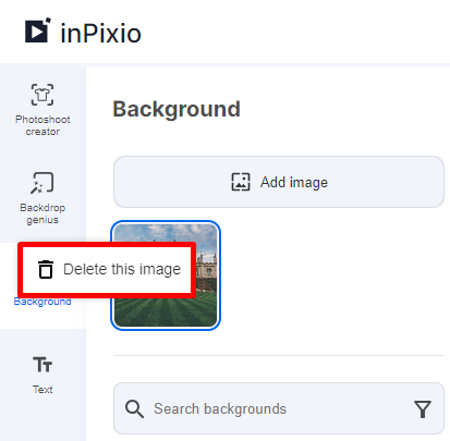 How to replace the background in inPixio Online Photo Editor? – inPixio