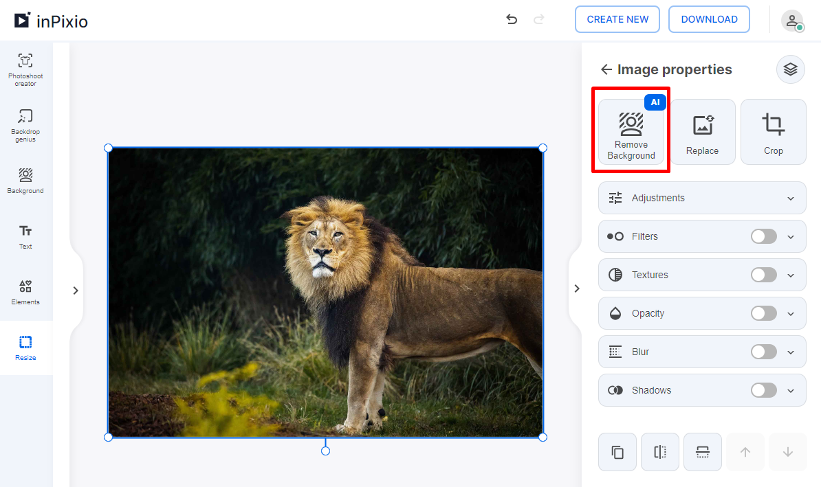 How to replace the background in inPixio Online Photo Editor? – inPixio
