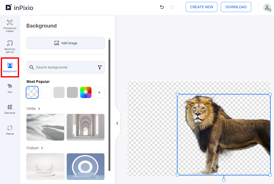 How to replace the background in inPixio Online Photo Editor? – inPixio