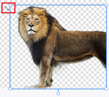 How to make a transparent background in inPixio Online Photo Editor ...