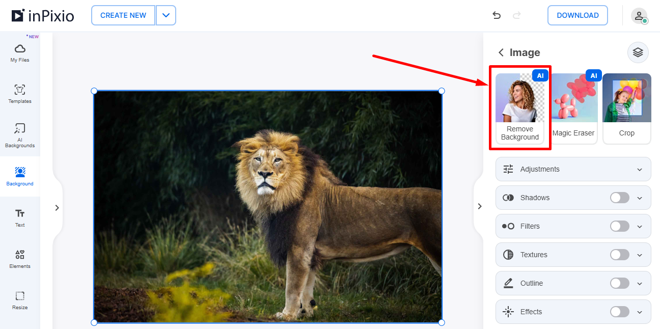 How to make a transparent background in inPixio Online Photo Editor ...