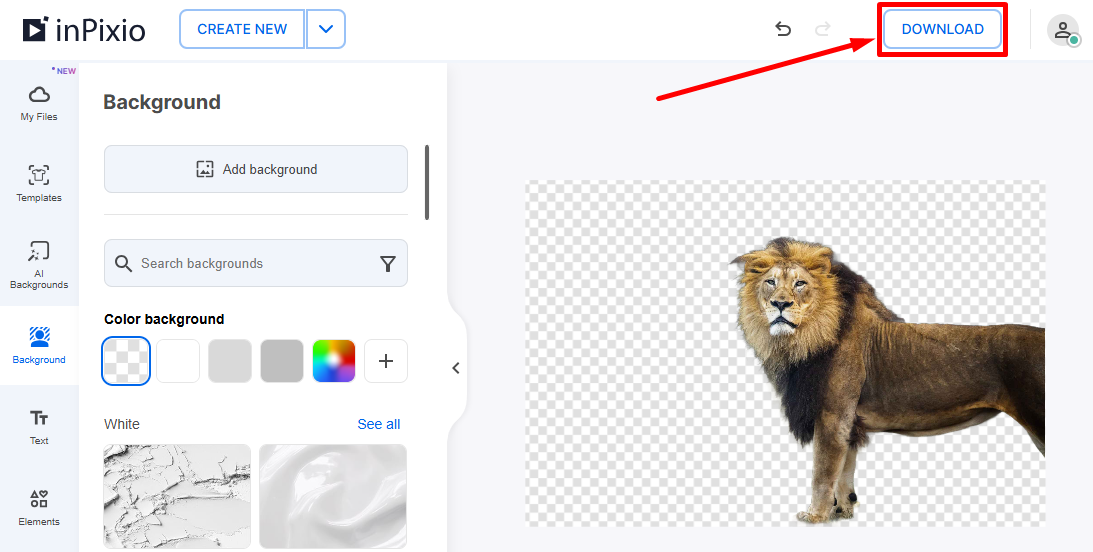 How to make a transparent background in inPixio Online Photo Editor ...