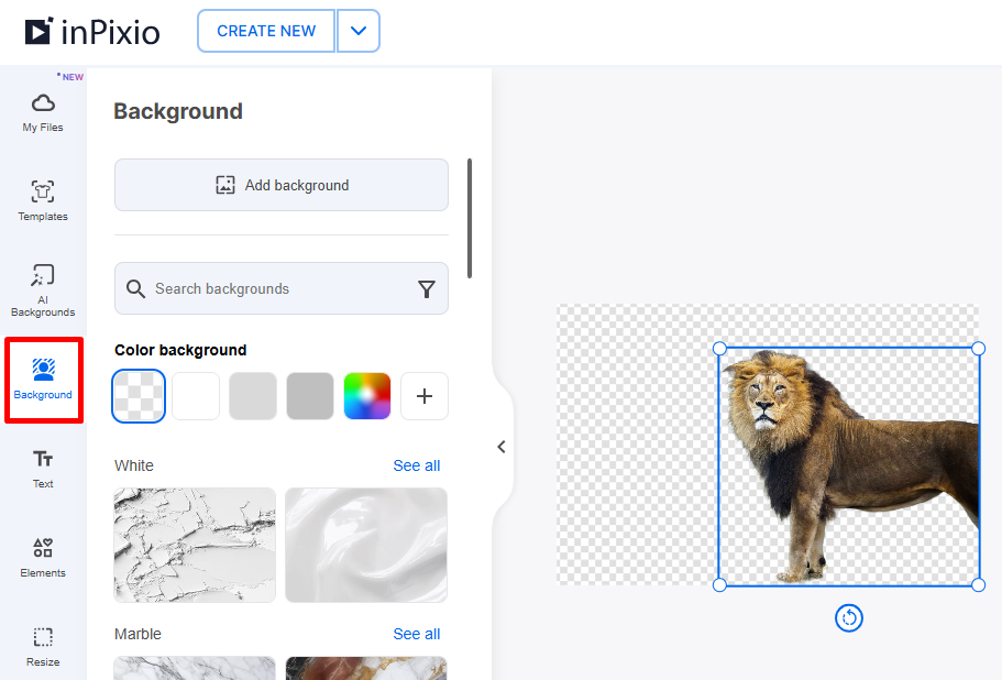 How to replace the background in inPixio Online Photo Editor? – inPixio
