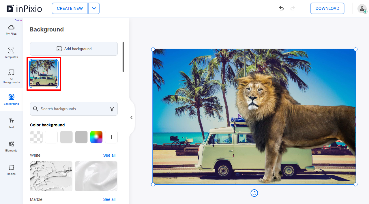 How to replace the background in inPixio Online Photo Editor? – inPixio