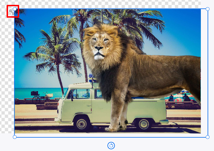 How to replace the background in inPixio Online Photo Editor? – inPixio