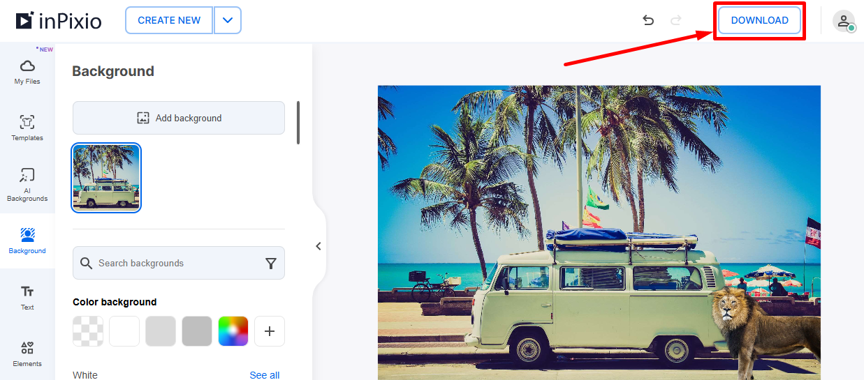 How to replace the background in inPixio Online Photo Editor? – inPixio